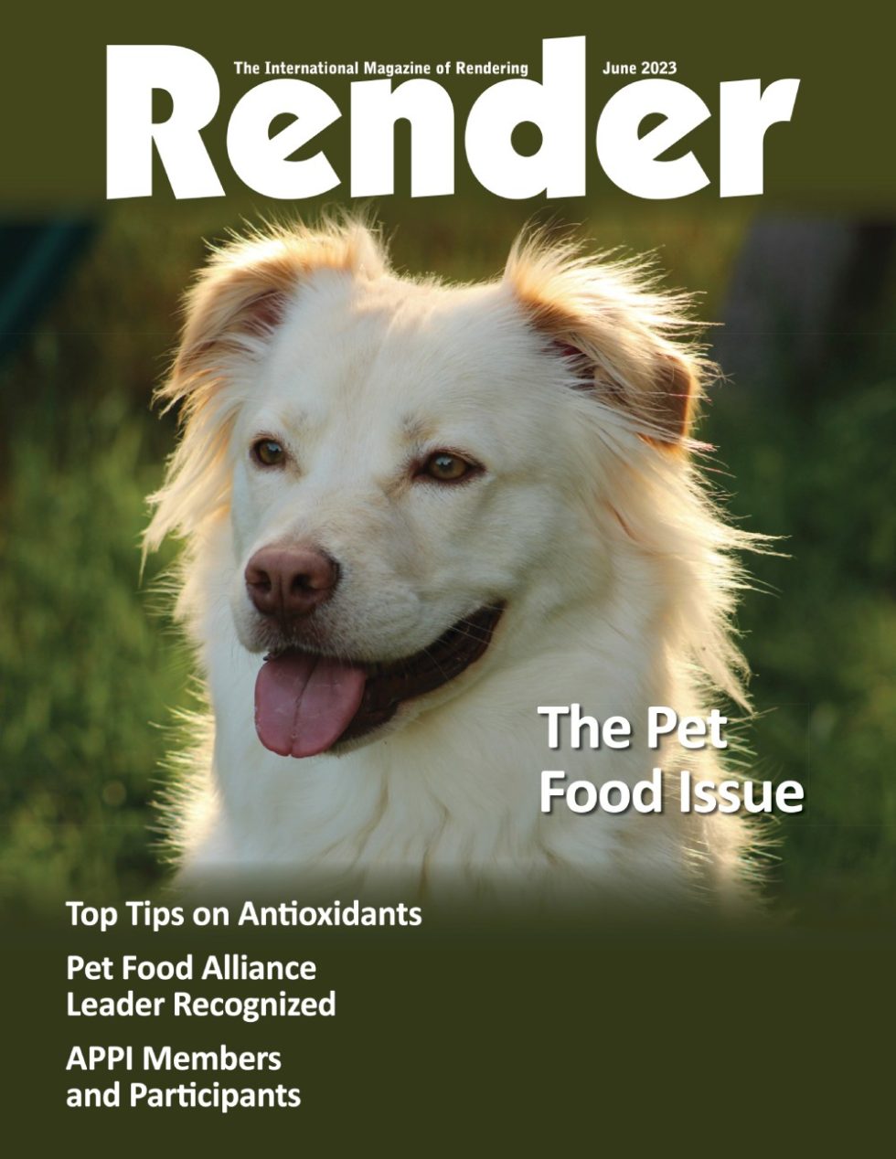 Home - Render Magazine